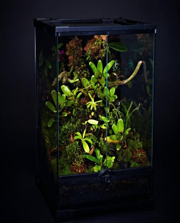 Reptizoo Provides The Perfect Reptile Habitats – REPTI ZOO