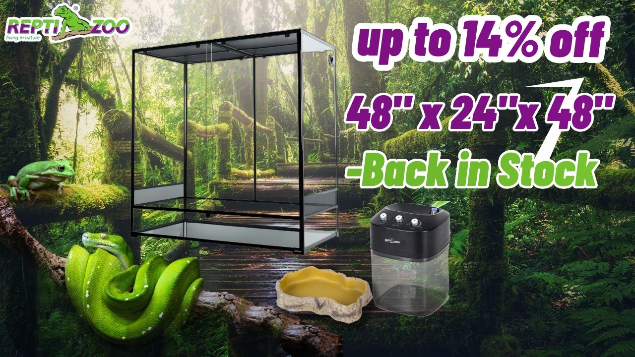 Reptizoo Provides The Perfect Reptile Habitats – REPTI ZOO
