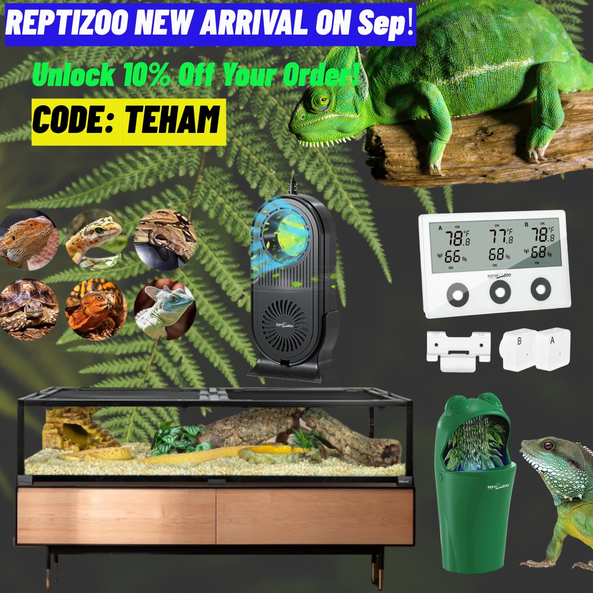 Reptizoo Provides The Perfect Reptile Habitats – REPTI ZOO