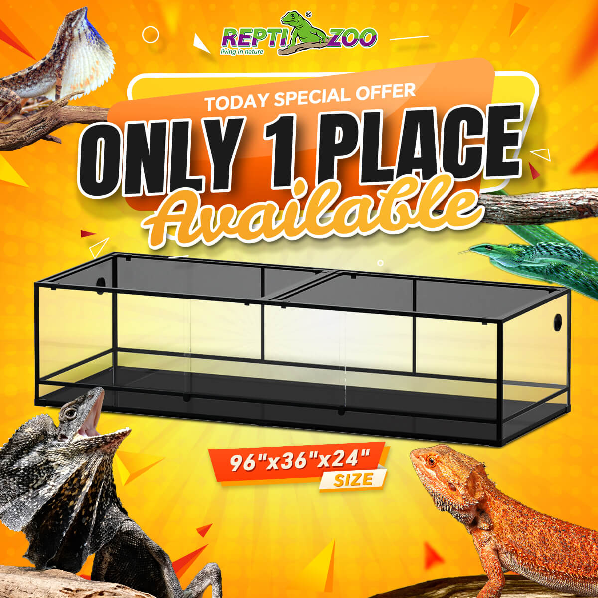 Reptizoo Provides The Perfect Reptile Habitats – REPTI ZOO