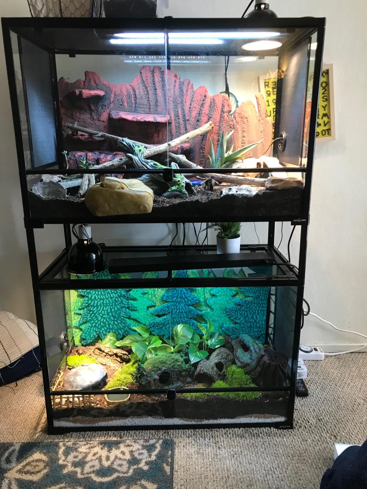 Reptizoo Provides The Perfect Reptile Habitats – REPTI ZOO