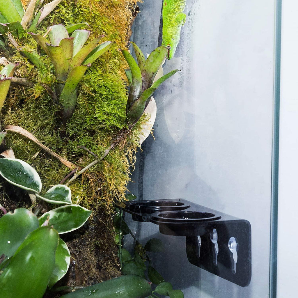 Gecko Bowl REPTI ZOO Double Bowl Gecko Feeder - Suction Cup Mount With ...