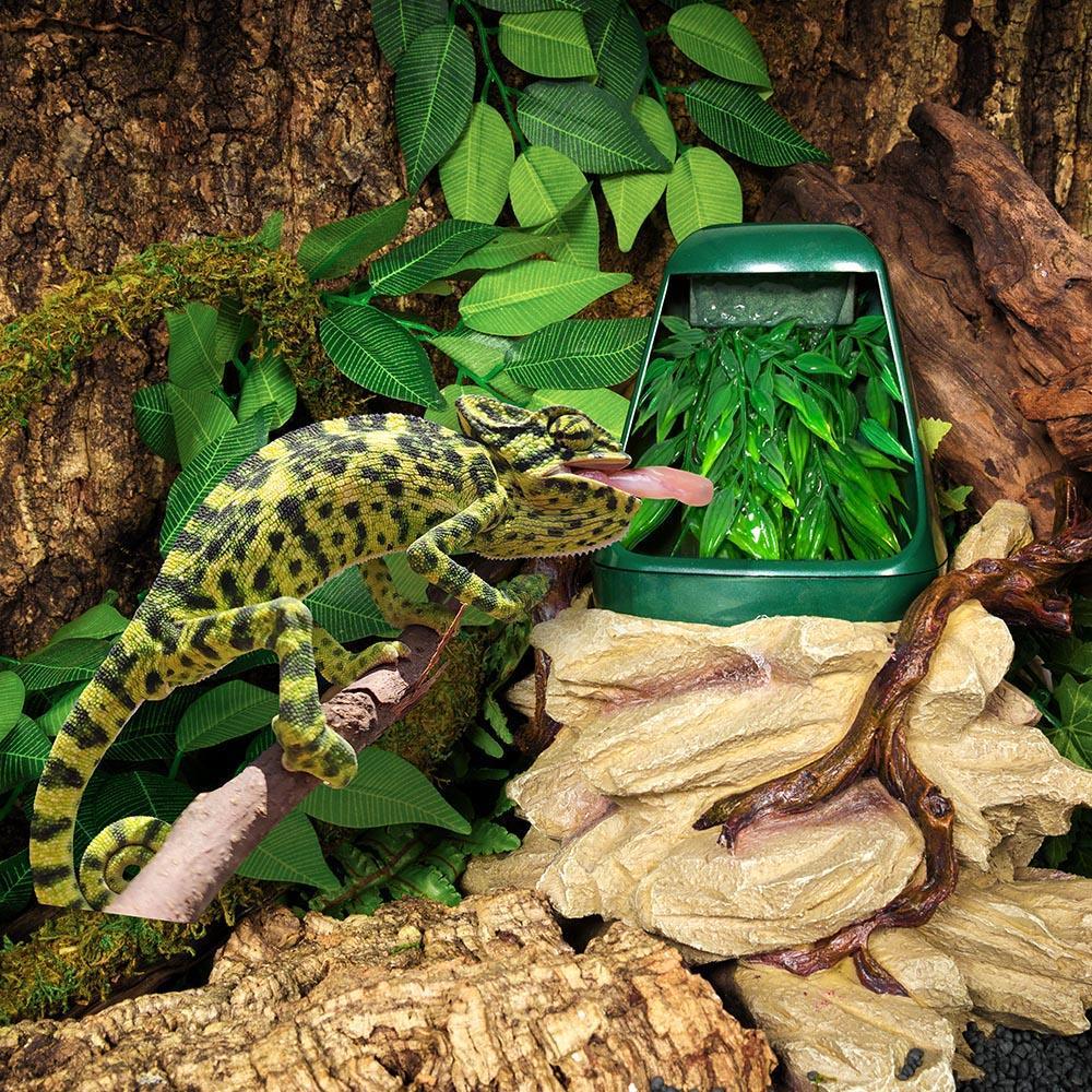 Snake Water Bowl Reptile Chameleon Cantina With Snacks Trough, Drinking ...